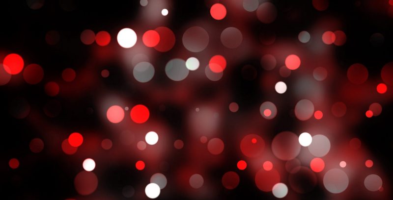 Lisa Chalmers Homepage